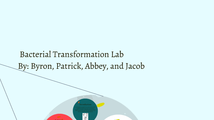 Bacterial Transformation Lab by Abbey Stiles on Prezi