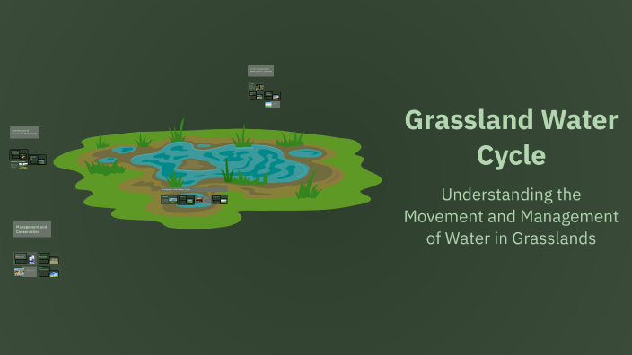 Grassland Water Cycle by Alexandra Schmidt on Prezi