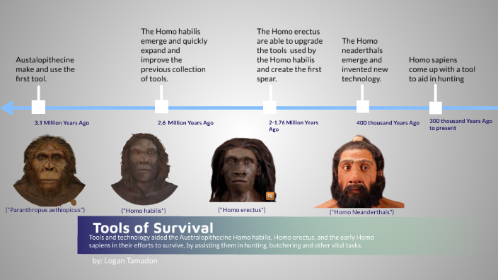How Tools Aided in the Survival of Hominids and Early Humans by Logan ...