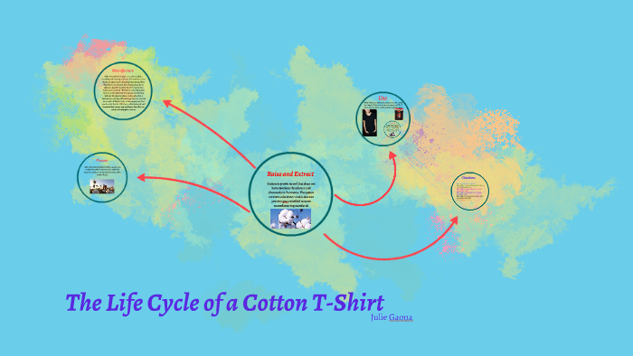 The Life Cycle of a Cotton T-Shirt by Julie Gaona on Prezi