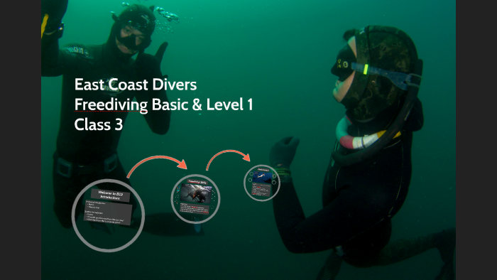 Basic & Level 1 - Class 3 by East Coast Divers on Prezi