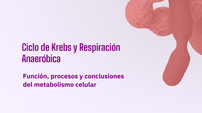 Ciclo de Krebs y Respiración Anaeróbica by Esmeralda Valdez on Prezi