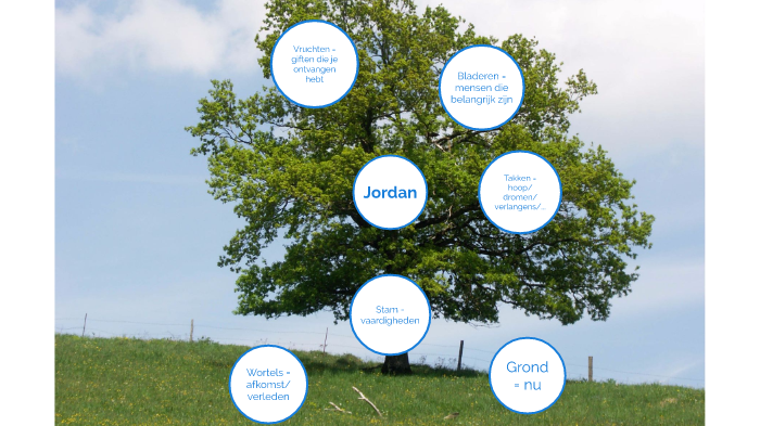 Tree of life by Jordan Decremer on Prezi