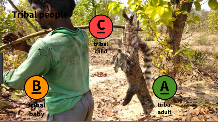 Tribal people by ng Ee yang on Prezi