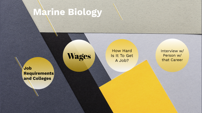 Career T.A.G Project by Patrick Rayburn on Prezi