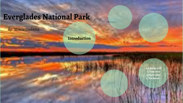 everglades national park project by Mikila Gudajtes on Prezi