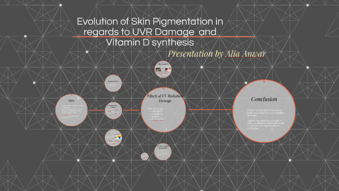 Evolution of Skin Pigmentation by alia anwar on Prezi