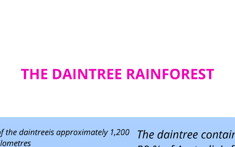 Daintree rainforest by carly considine on Prezi