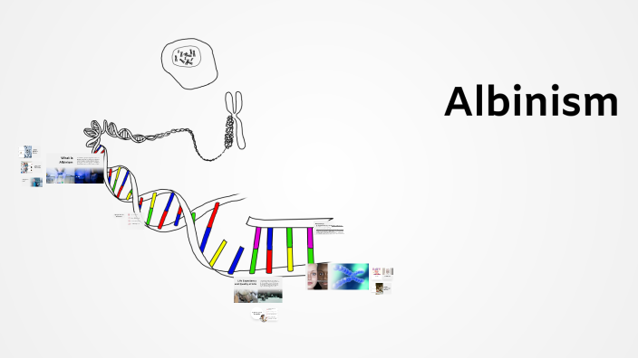Albinism grade 9 biology final project by lucy greenwater on Prezi