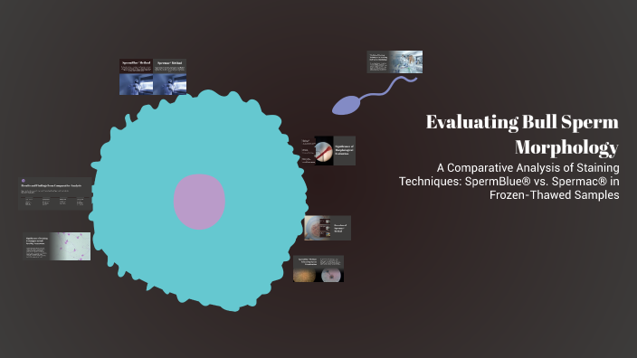 Evaluating Bull Sperm Morphology by cumo on Prezi