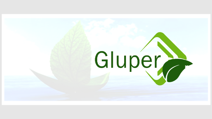 GLUPER Ltda. by Leandro Bastos on Prezi