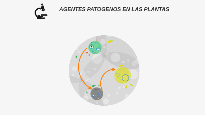 Tipos de agentes patogenos by Federico Aubone on Prezi
