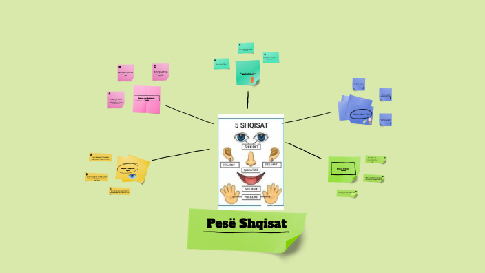 5 Shqisat\ by mentore shabani on Prezi