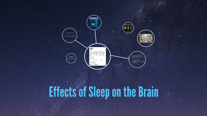 Effects of Sleep on the Brain by Lauren Peacock on Prezi