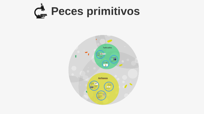 Peces primitivos by Juan Camilo Reyes Garcia on Prezi