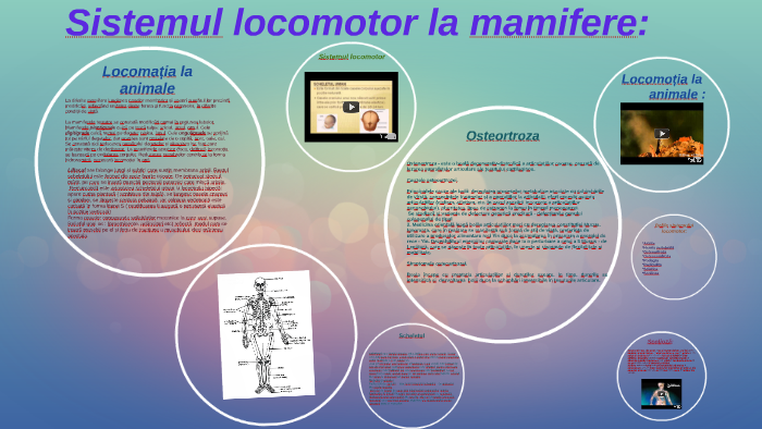 Sistemul locomotor la mamifere by Andreea Harabagiu on Prezi
