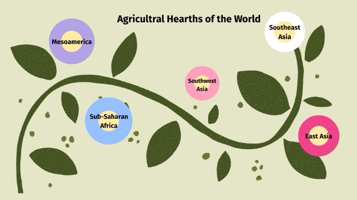 Major Agricultural Hearths by Light Harrington on Prezi