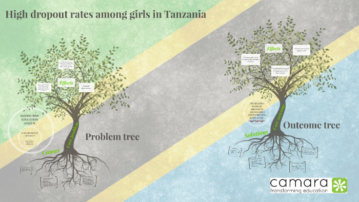 Tz dropouts problem tree by on Prezi