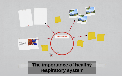 The importance of healthy respiratory system by CHAN JK on Prezi