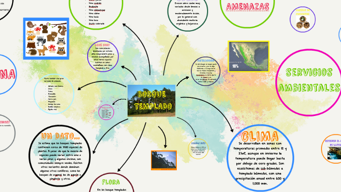 BOSQUE TEMPLADO by Analy Espinosa on Prezi