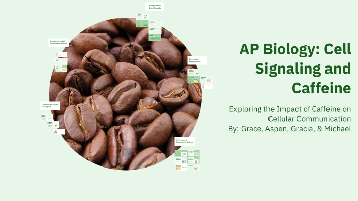 AP Biology: Cell Signaling and Caffeine by Student Grace Huber on Prezi