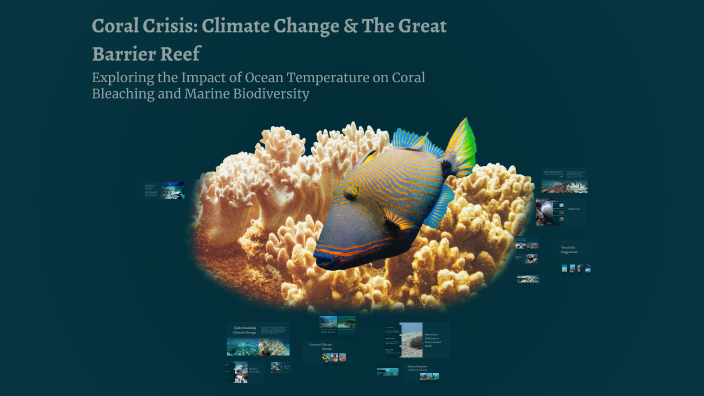 Coral Crisis: Climate Change & The Great Barrier Reef by Chido Mcijo on ...