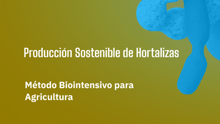 Producción Sostenible de Hortalizas by Edgar Pinilla Gutierrez on Prezi