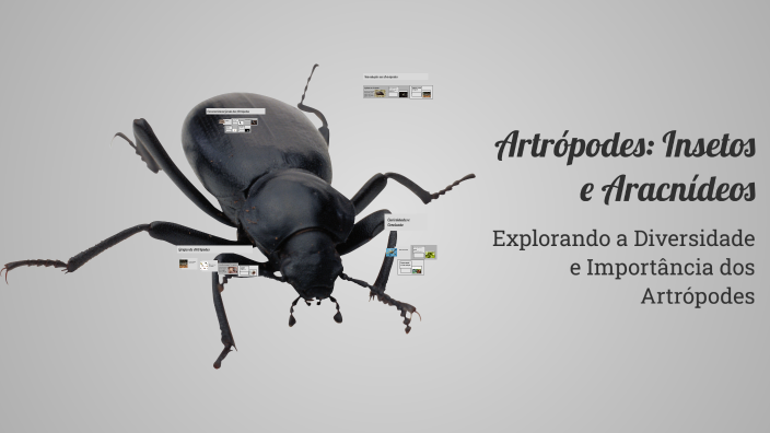 Artrópodes: Insetos e Aracnídeos by Fábio Oliveira on Prezi