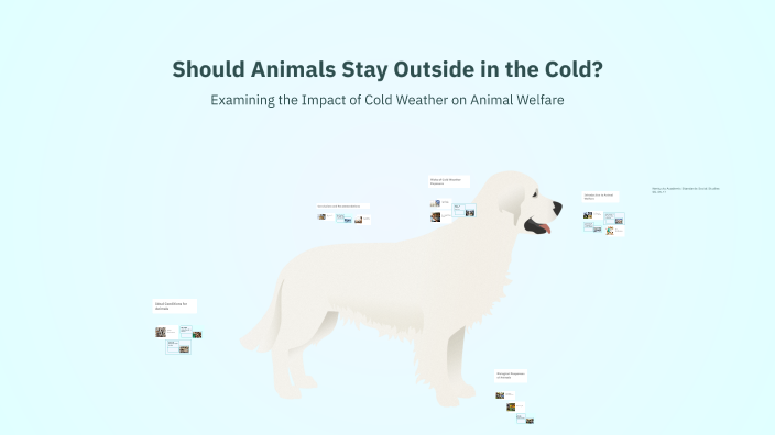 Should Animals Stay Outside in the Cold? by Micah Hinton on Prezi