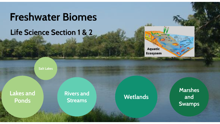 LSCombined- Freshwater Biomes by Donnie Howell on Prezi
