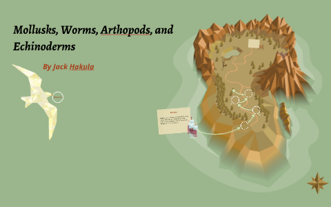 Mollusks, Worms, Arthopods, and Echinoderms by Jack Hakula on Prezi