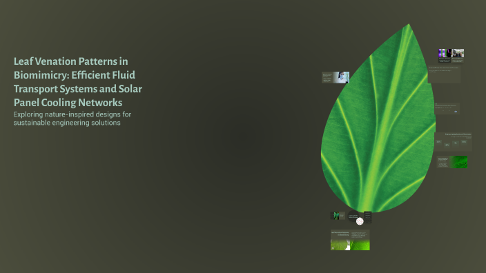 Leaf Venation Patterns in Biomimicry: Efficient Fluid Transport Systems ...