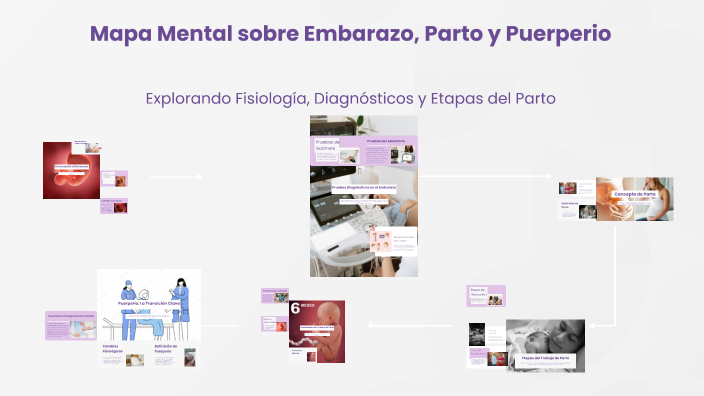 Mapa Mental sobre Embarazo, Parto y Puerperio by Guadalupe Amador on Prezi