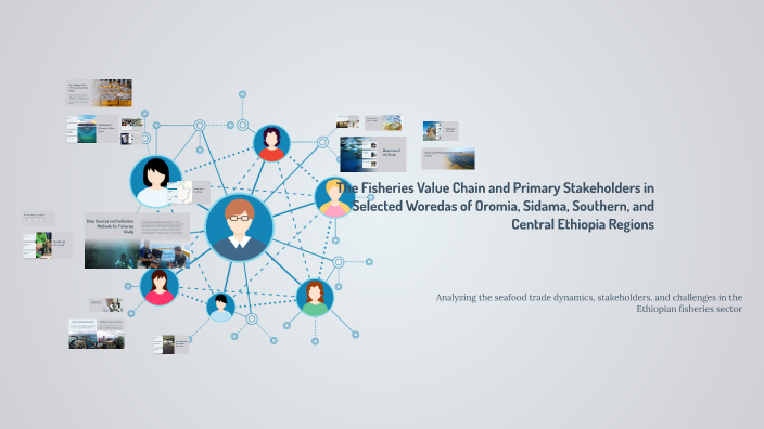The Fisheries Value Chain and Primary Stakeholders in Selected Woredas ...