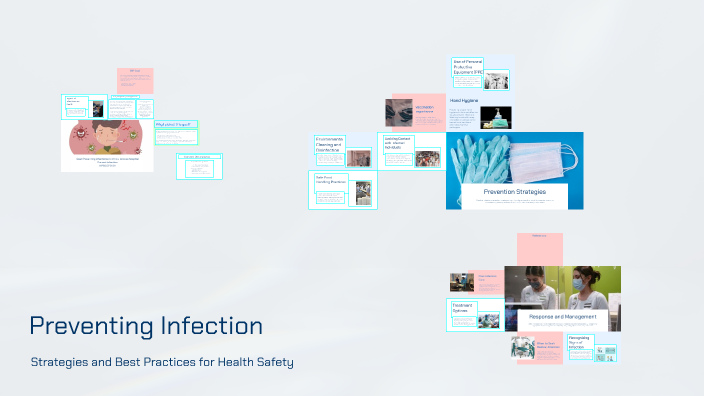 Preventing Infection by Baylee Snyder on Prezi
