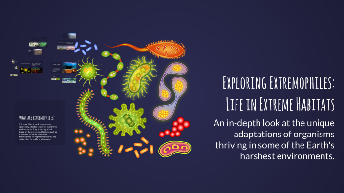 Exploring Extremophiles: Life in Extreme Habitats by Dylan Dods on Prezi