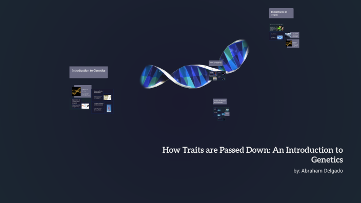 How Traits are Passed Down by Abraham Delgado on Prezi
