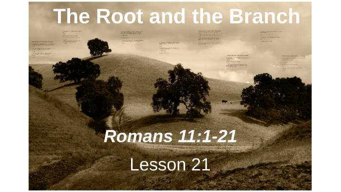 The Root and the Branch by Steve kelley on Prezi