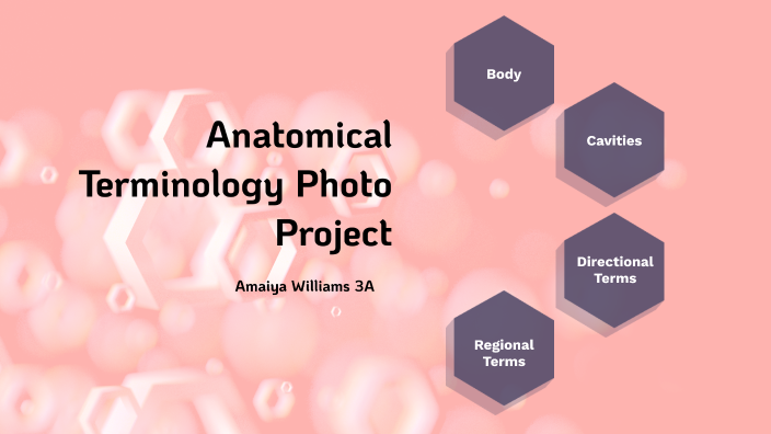 Anatomical Terminology Photo Project by Amaiya Williams on Prezi