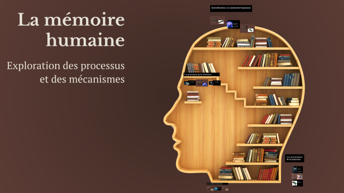La mémoire humaine by FATIMA SLIMANY on Prezi
