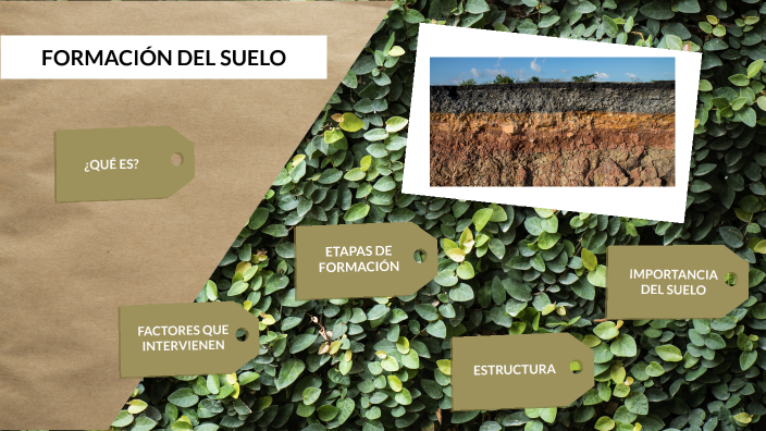 El suelo by Cecilia Flores on Prezi