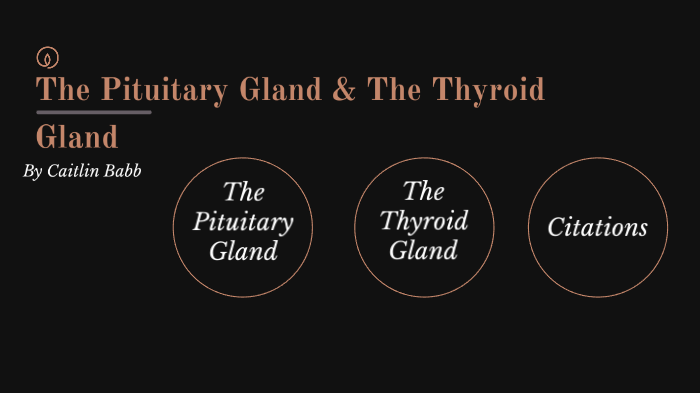 Endocrine system by CAITLIN BABB on Prezi