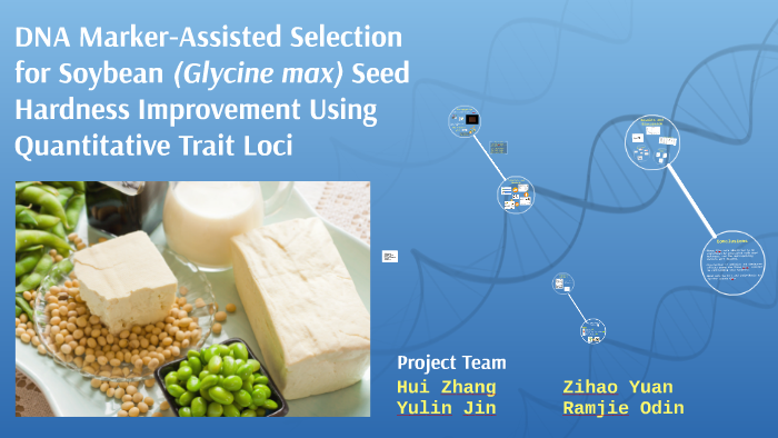 Dna Marker Assisted Selection For Soybean Seed Hardness Impr By Ramjie