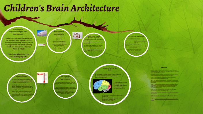 Children's Brain Architecture by Anastasia Gallant on Prezi