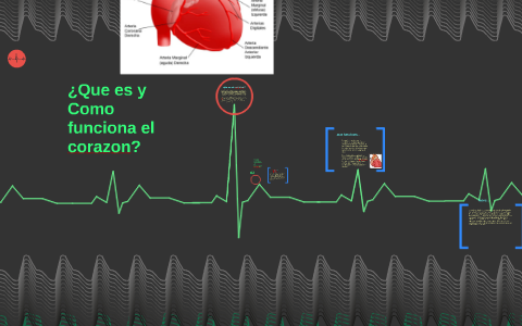 ¿Que es y Como funciona el corazon? by Edgar Ramos on Prezi