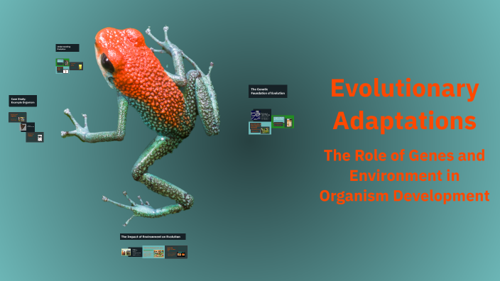 Evolutionary Adaptations by Oskar Lofberg on Prezi