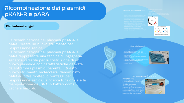 Digestione dei plasmidi pKAN-R e pARA by Manuel Castellano on Prezi