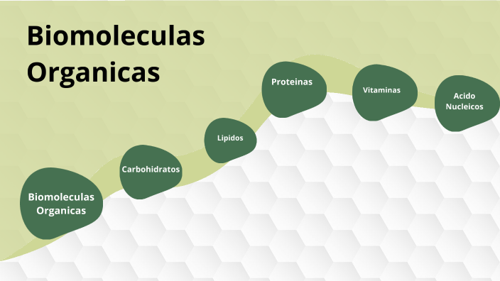 Biomoléculas Orgánicas by Heman Matias