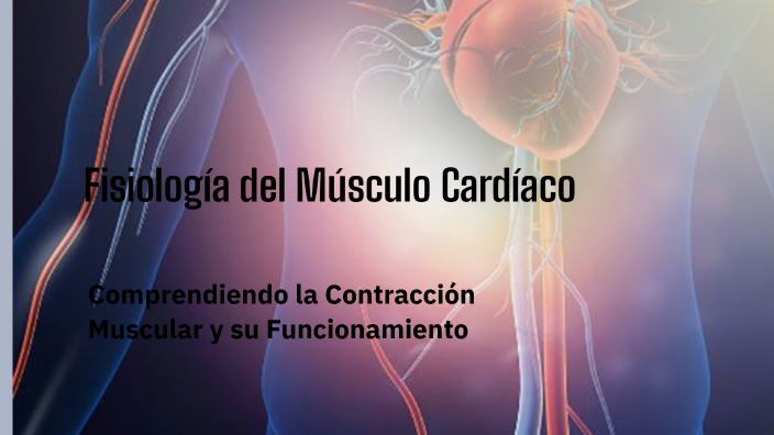 Fisiología del Músculo Cardíaco by Melany Karin Solano Ochica on Prezi