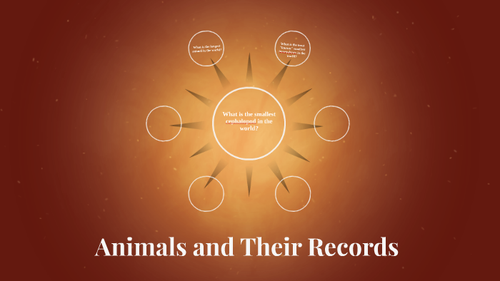 Animals and Their Records by Amber Dingman on Prezi